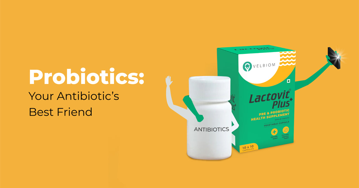 Probiotic protection for antibiotic action – Velbiom